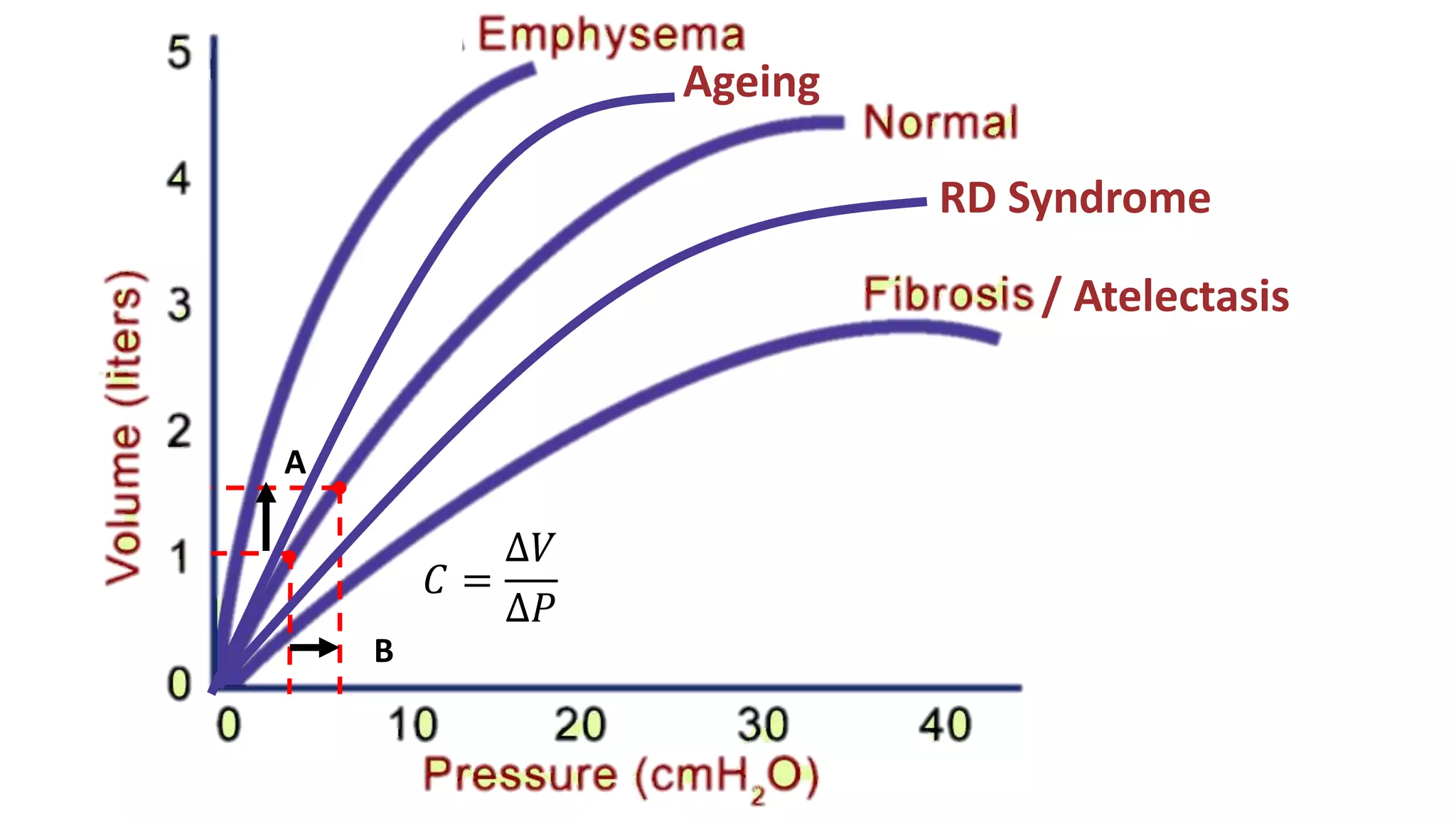USMLE Step 1 Physiology | PPTX