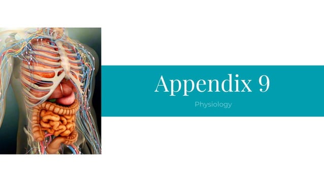 USMLE Step 1 Physiology | PPTX | Lung and Respiratory Health | Diseases ...