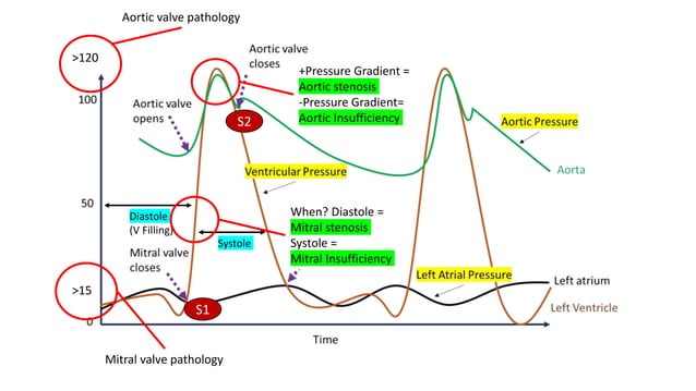USMLE Step 1 Physiology | PPTX | Lung and Respiratory Health | Diseases ...