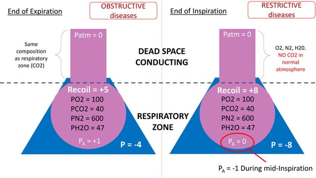 USMLE Step 1 Physiology | PPTX | Lung and Respiratory Health | Diseases ...