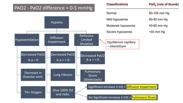 USMLE Step 1 Physiology | PPTX | Lung and Respiratory Health | Diseases ...