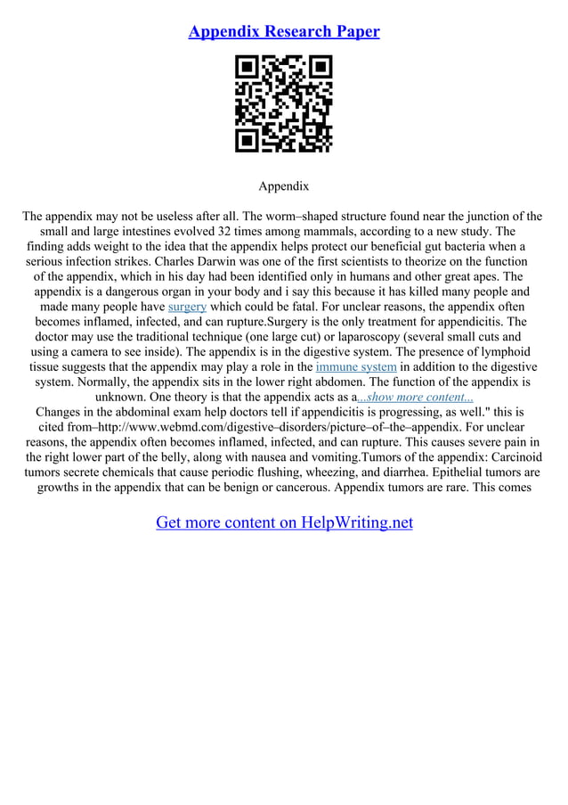 Appendix Essay | PDF