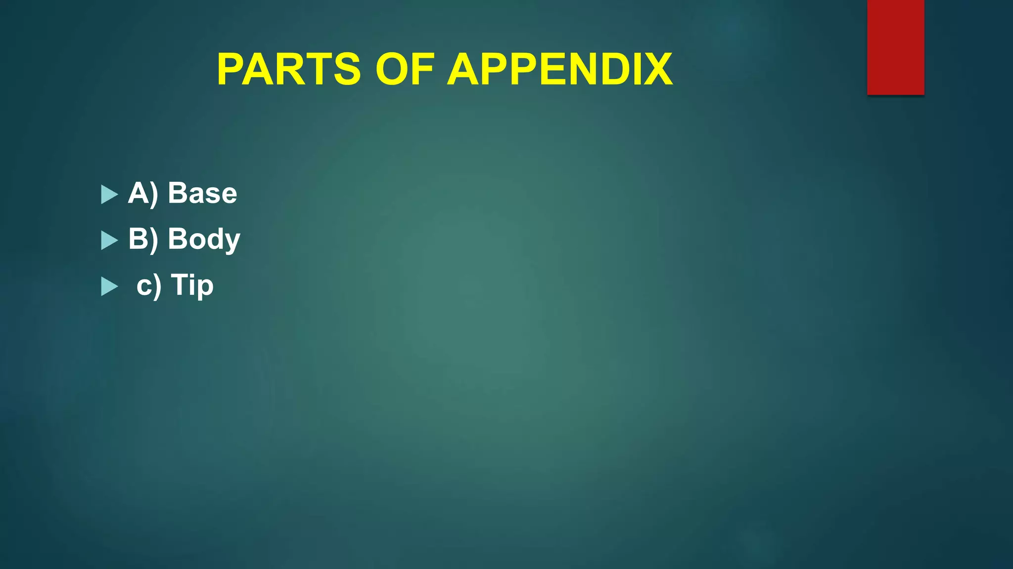 Anatomy of appendix | PPTX