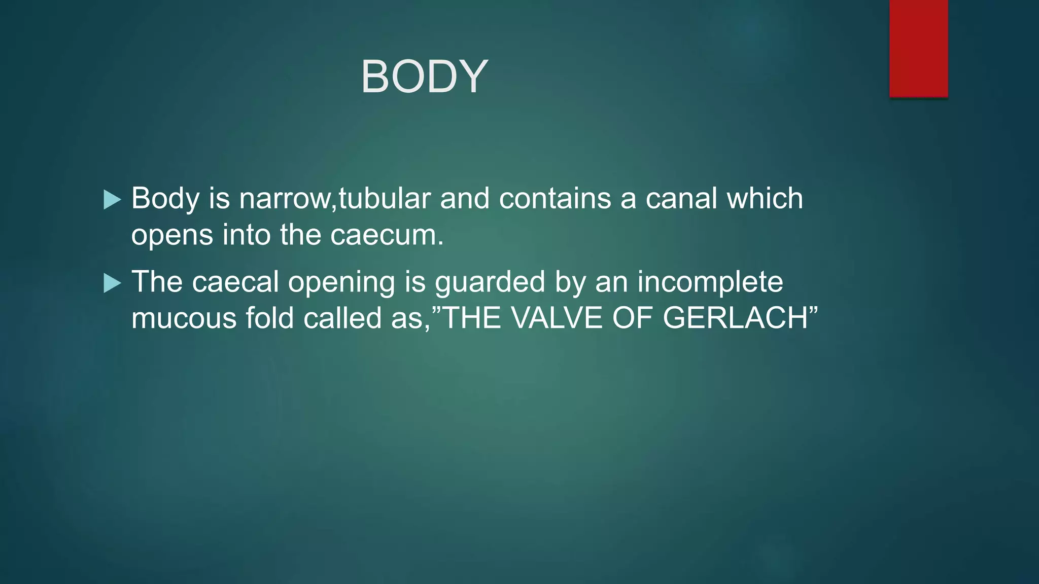 Anatomy of appendix | PPTX