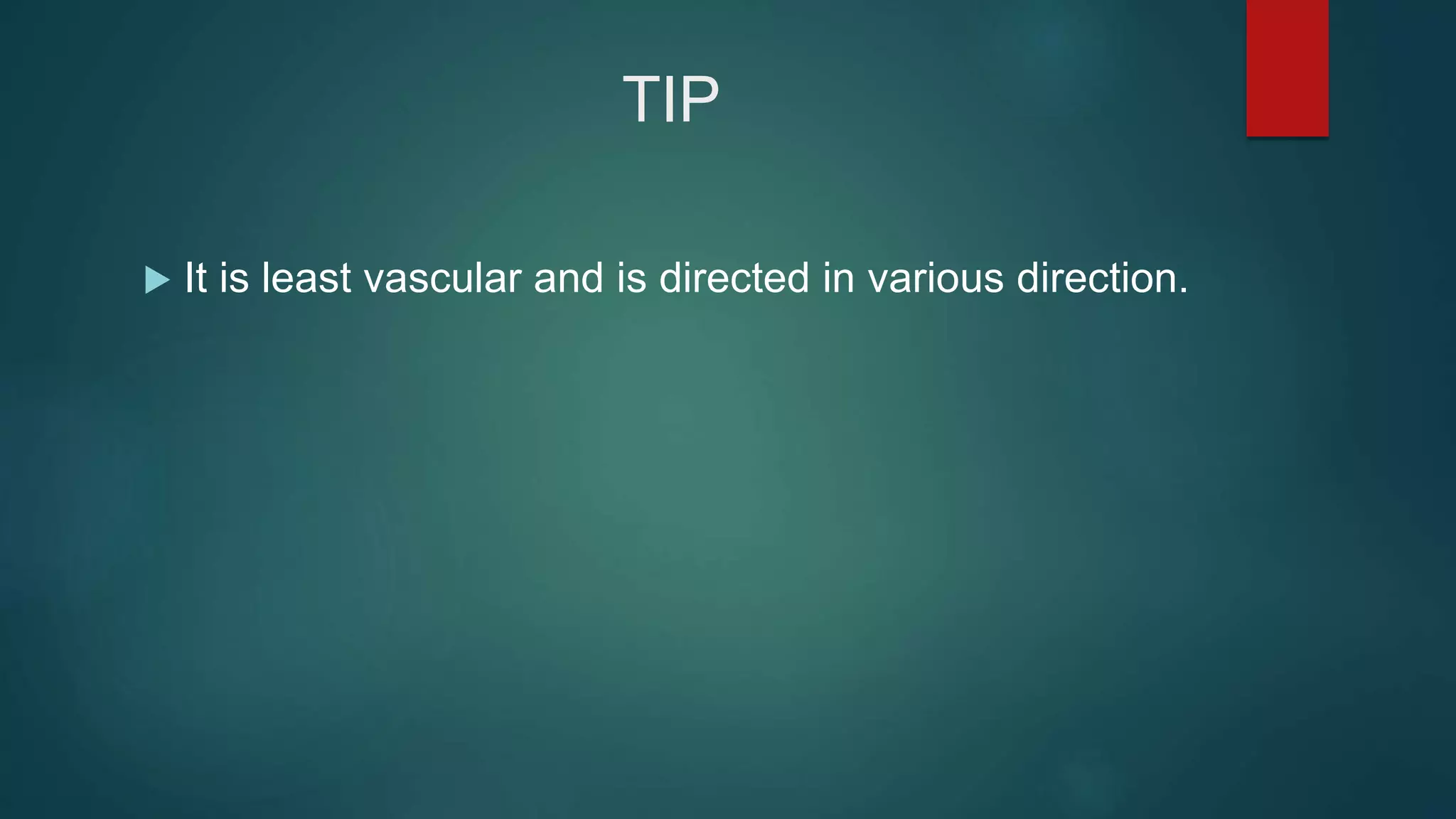 Anatomy of appendix | PPTX