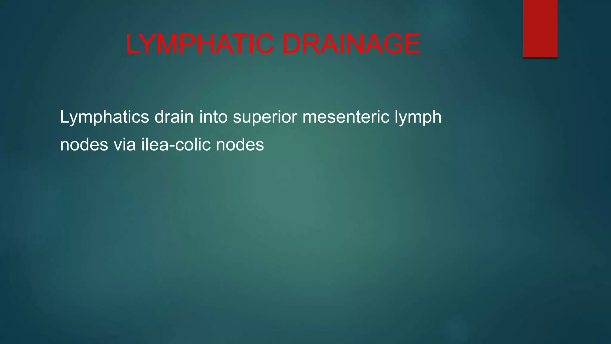 Anatomy of appendix | PPTX