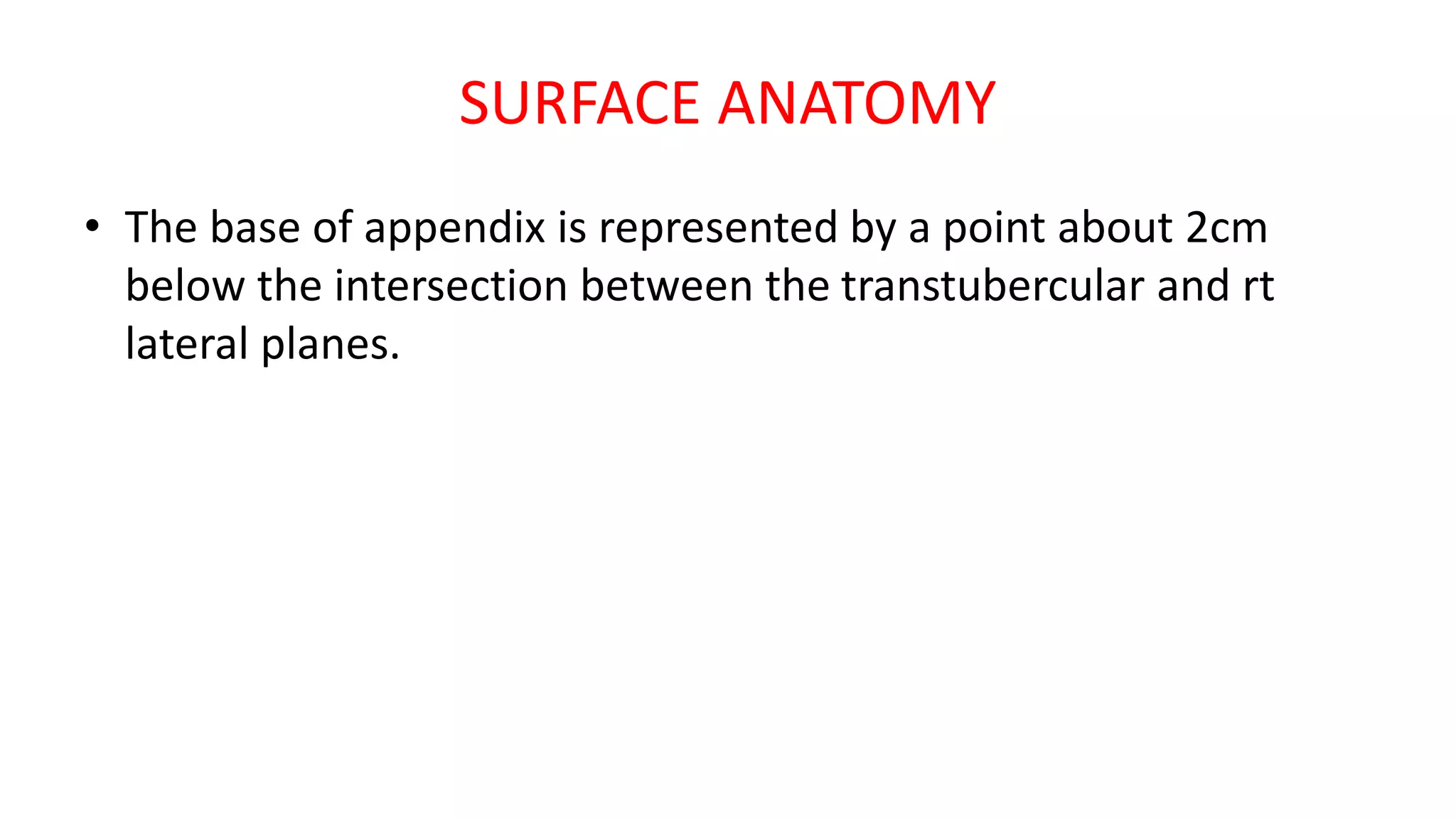 Anatomy of appendix | PPTX