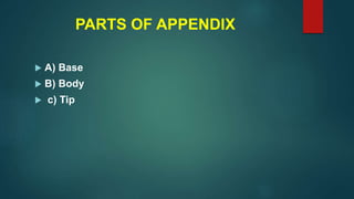 Anatomy of appendix | PPTX