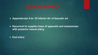 Anatomy of appendix | PPTX | Brain and Nervous System Disorders ...