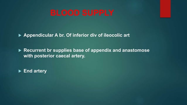 Anatomy of appendix | PPTX | Brain and Nervous System Disorders ...