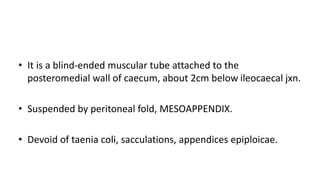 Anatomy of appendix | PPTX