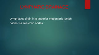 Anatomy of appendix | PPTX
