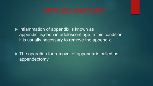 Anatomy of appendix | PPTX | Brain and Nervous System Disorders ...