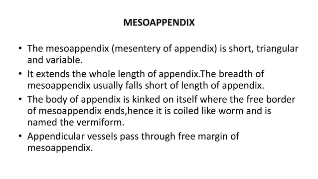 Anatomy of appendix | PPTX | Brain and Nervous System Disorders | Diseases and Conditions