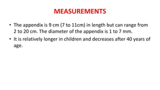 Anatomy of appendix | PPTX | Brain and Nervous System Disorders ...
