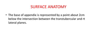 Anatomy of appendix | PPTX