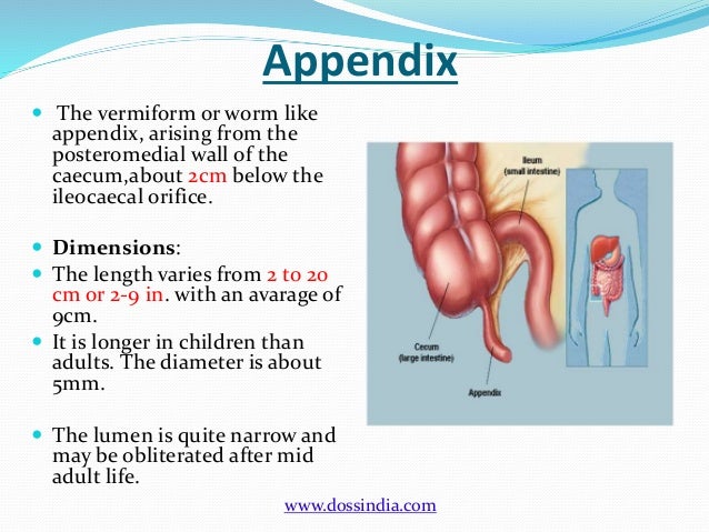 Doss India - Appendix Surgery Treatment in Pune, Maharashtra