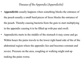 Appendix ,Colon, Rectums ana Anal Canal PRESENTATION POWERPOINT.pptx
