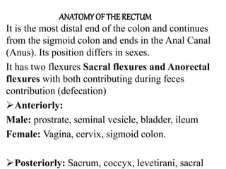 Appendix ,Colon, Rectums ana Anal Canal PRESENTATION POWERPOINT.pptx