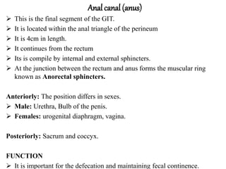 Appendix ,Colon, Rectums ana Anal Canal PRESENTATION POWERPOINT.pptx