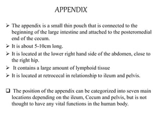 Appendix ,Colon, Rectums ana Anal Canal PRESENTATION POWERPOINT.pptx