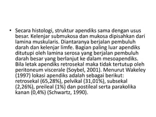Appendix vermiformis | PPT
