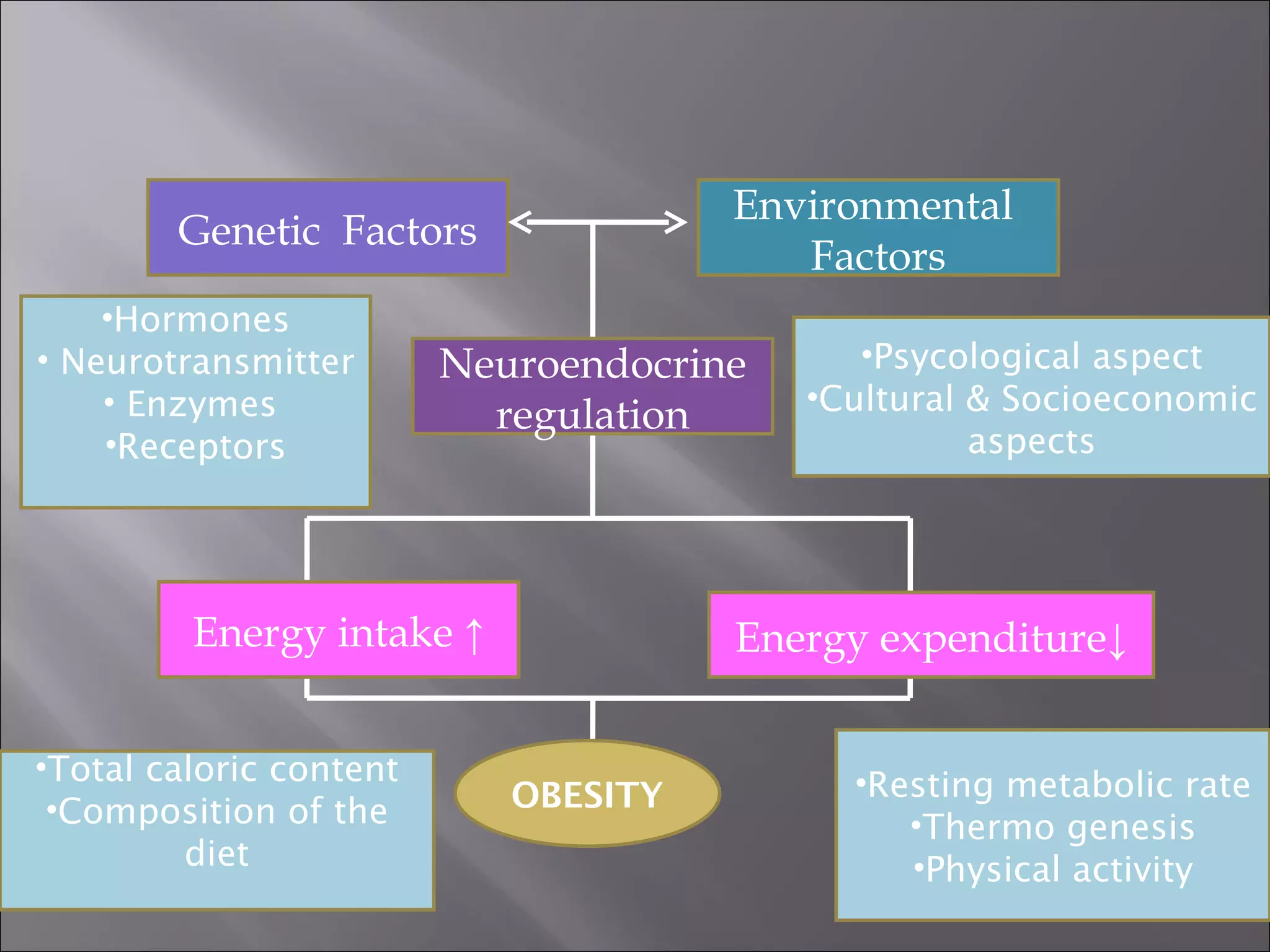 Appetite stimulant and | PPT