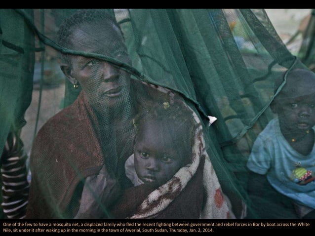 AP Photojournalist, Ben Curtis | PPT | Free Download