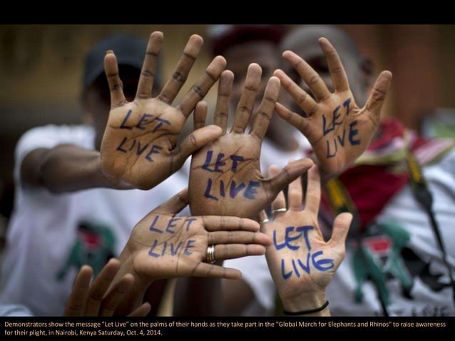 AP Photojournalist, Ben Curtis | PPT | Free Download
