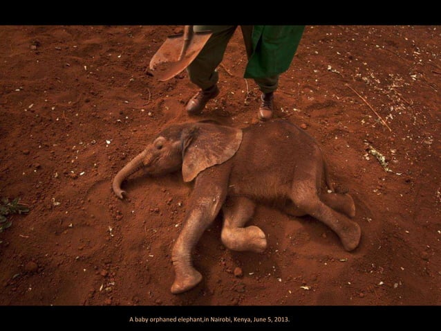 AP Photojournalist, Ben Curtis | PPT | Free Download