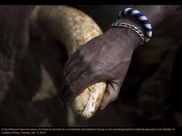 AP Photojournalist, Ben Curtis | PPT | Free Download