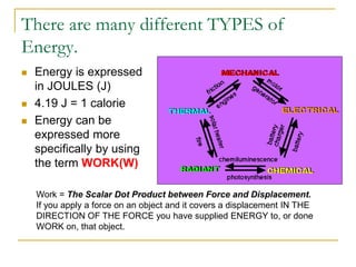 AP_Physics_1_-_Ch_5_Work_and_Energy.ppt | Physics | Science