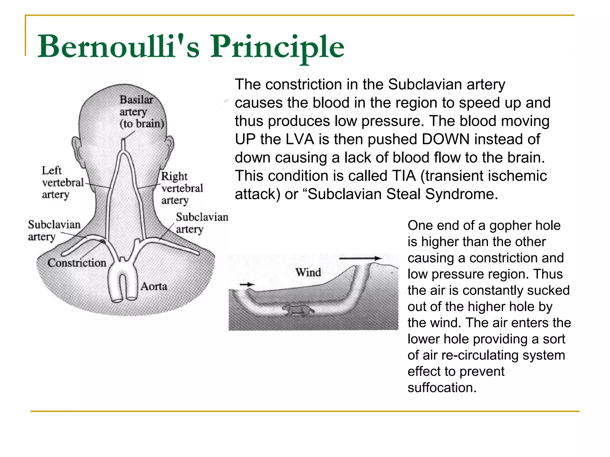 Fundamental of fluid dynamics | PPT