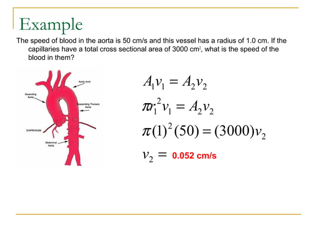 Fundamental of fluid dynamics | PPT