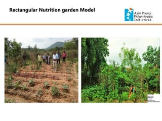 Connecting Agriculture to Nutrition- Nurturing Generation | PPTX