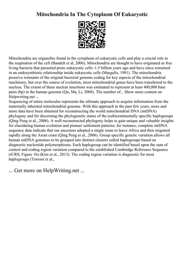 Appic Internship Essay Examples | PDF