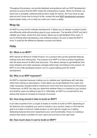 MVP Software Development: The Complete Guide | PDF