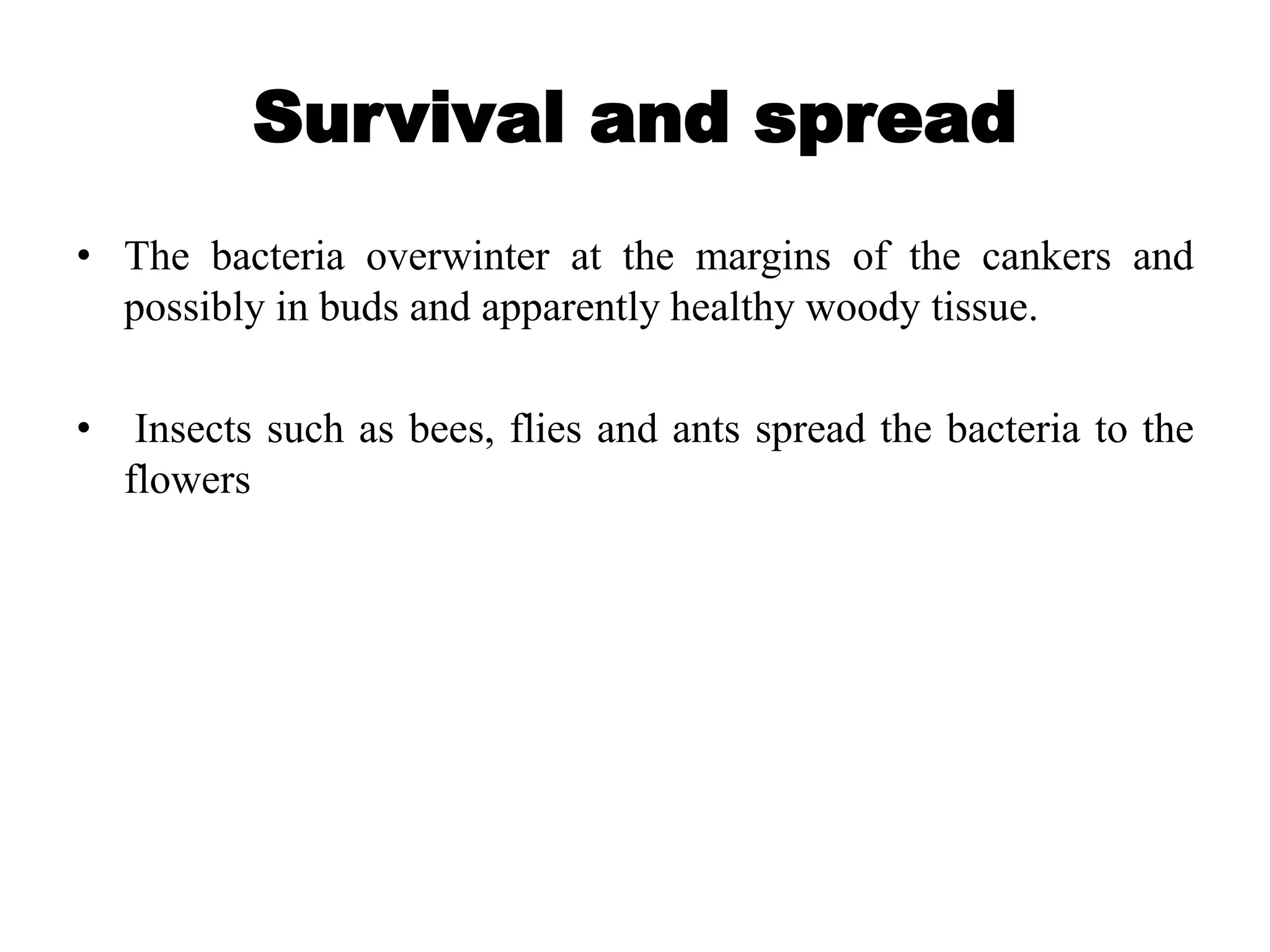 Diseases of Apple | PPTX