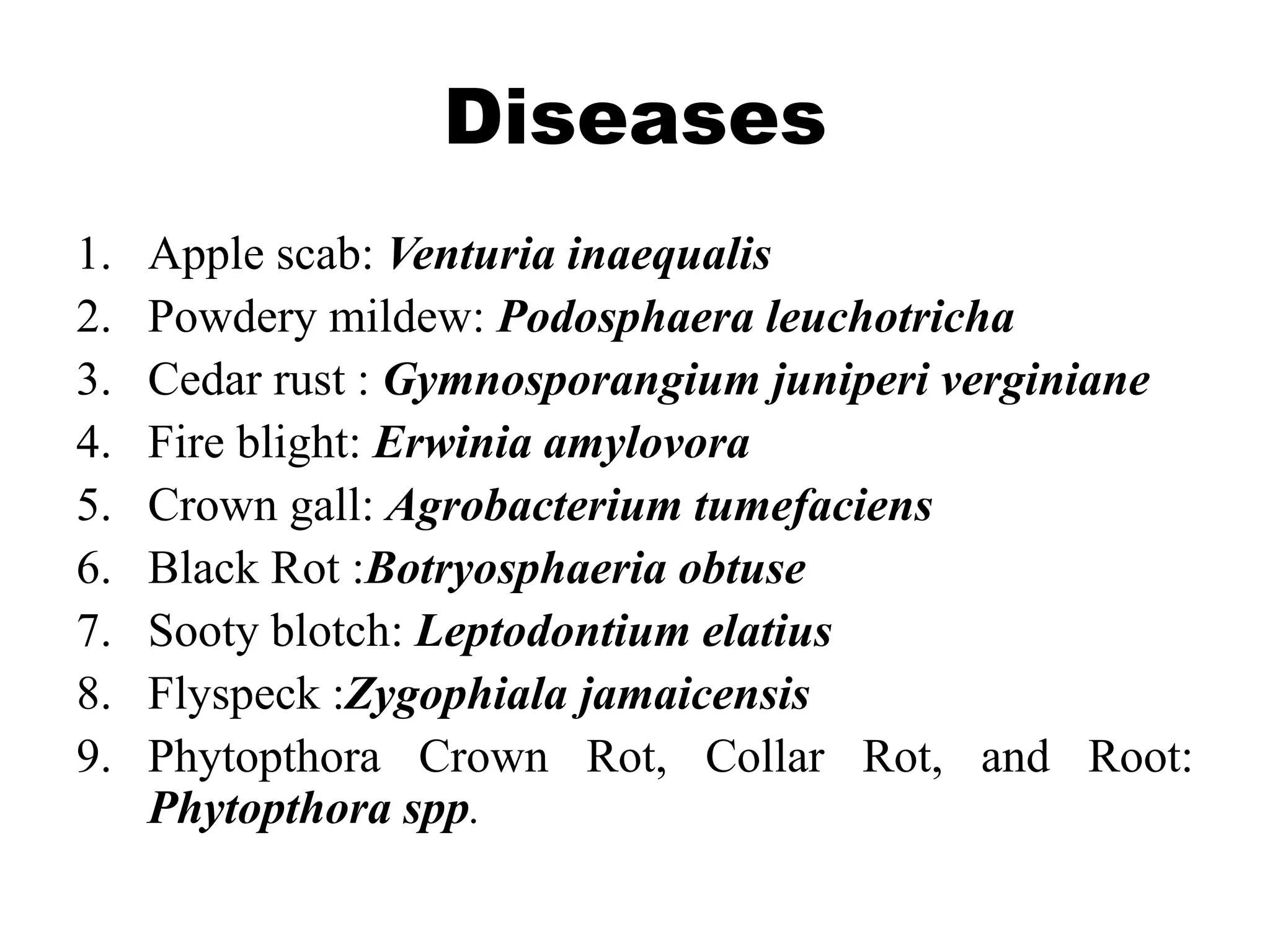 Diseases of Apple | PPTX