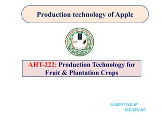 Production Technology Of Apple | PPTX