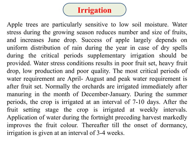 Production Technology Of Apple | PPTX