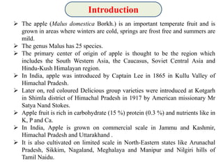 Production Technology Of Apple | PPTX