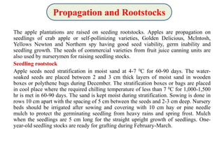 Production Technology Of Apple | PPTX