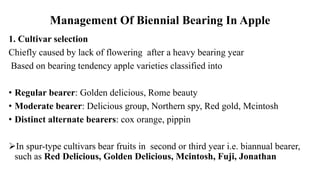 Biennial bearing habit in apple | PPTX