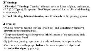 Biennial bearing habit in apple | PPTX