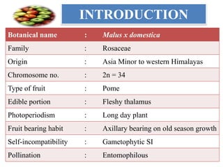 Apple breeding | PPTX
