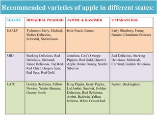 Apple breeding | PPTX