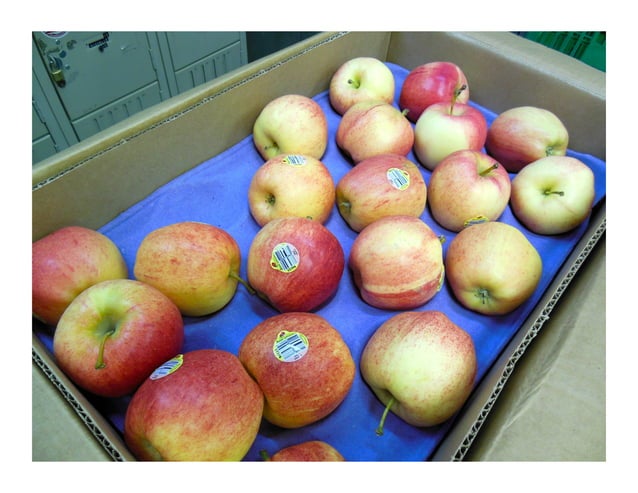 Apple Crunch Day Organic Apples | PDF
