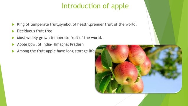 Apple cultivation | PPTX | Agriculture | Industries