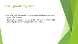 Apple cultivation | PPTX